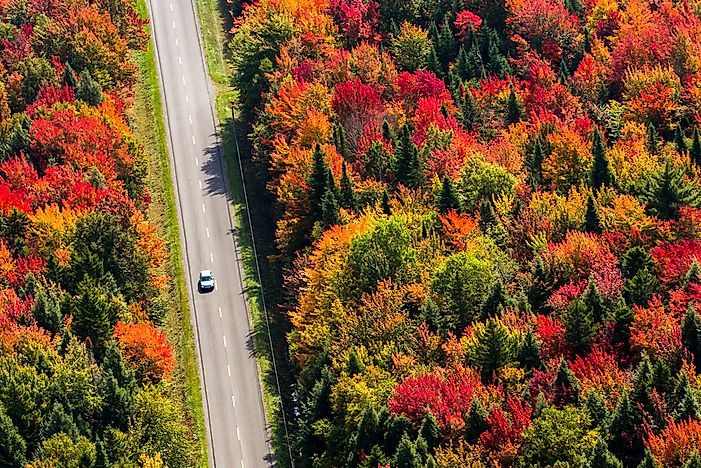 Why Do Leaves Change Color WorldAtlas