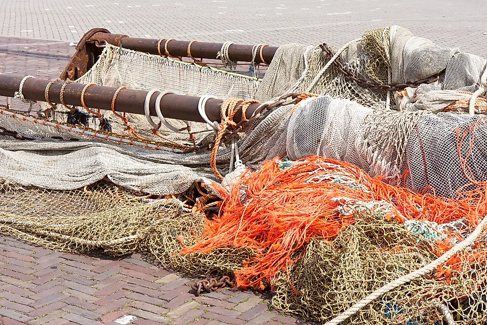 What Are The Impacts Of Bottom Trawling On The Environment ...