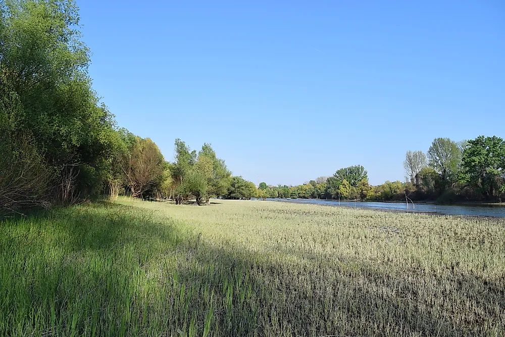 What Is Muskeg? - WorldAtlas.com
