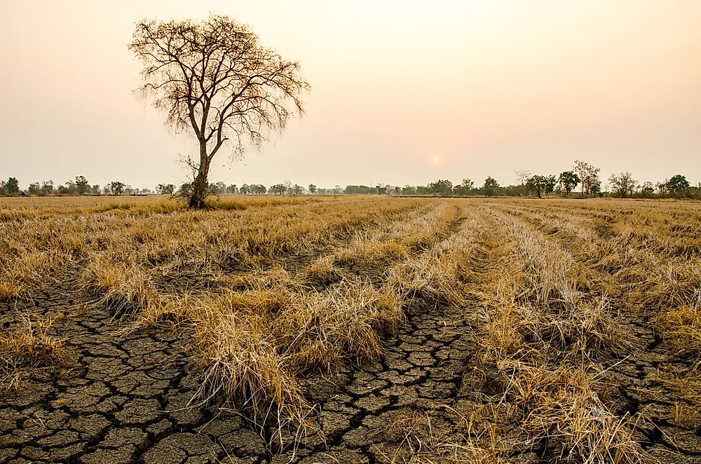 The Deadliest Famines Ever - WorldAtlas.com