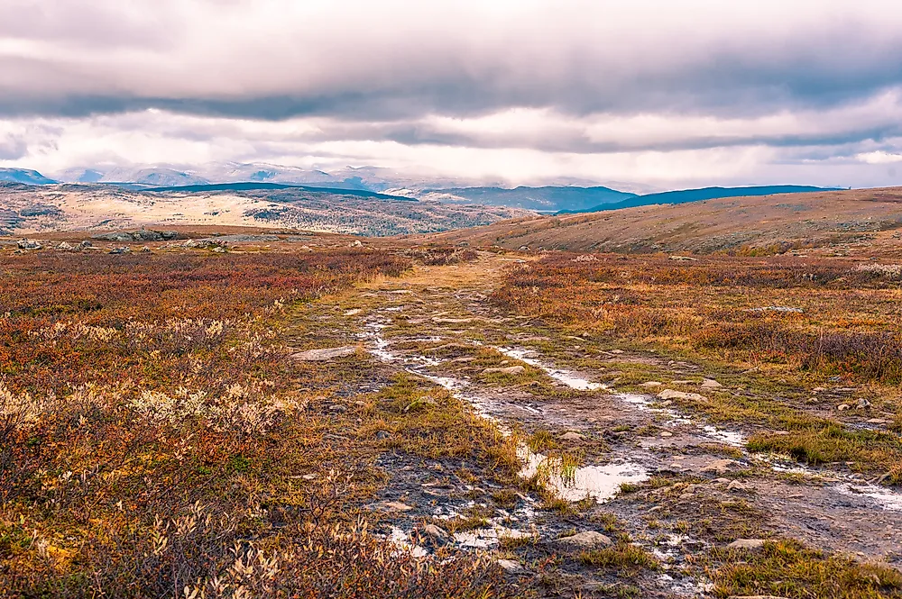 What Is A Moorland? - WorldAtlas.com