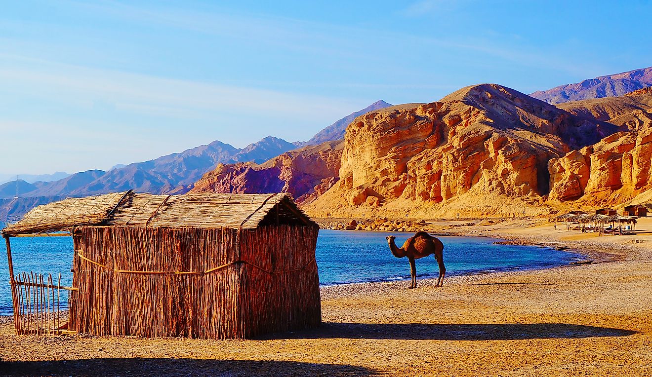 Sinai Peninsula WorldAtlas