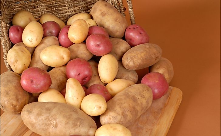The Top 10 Potato Producing States In The US
