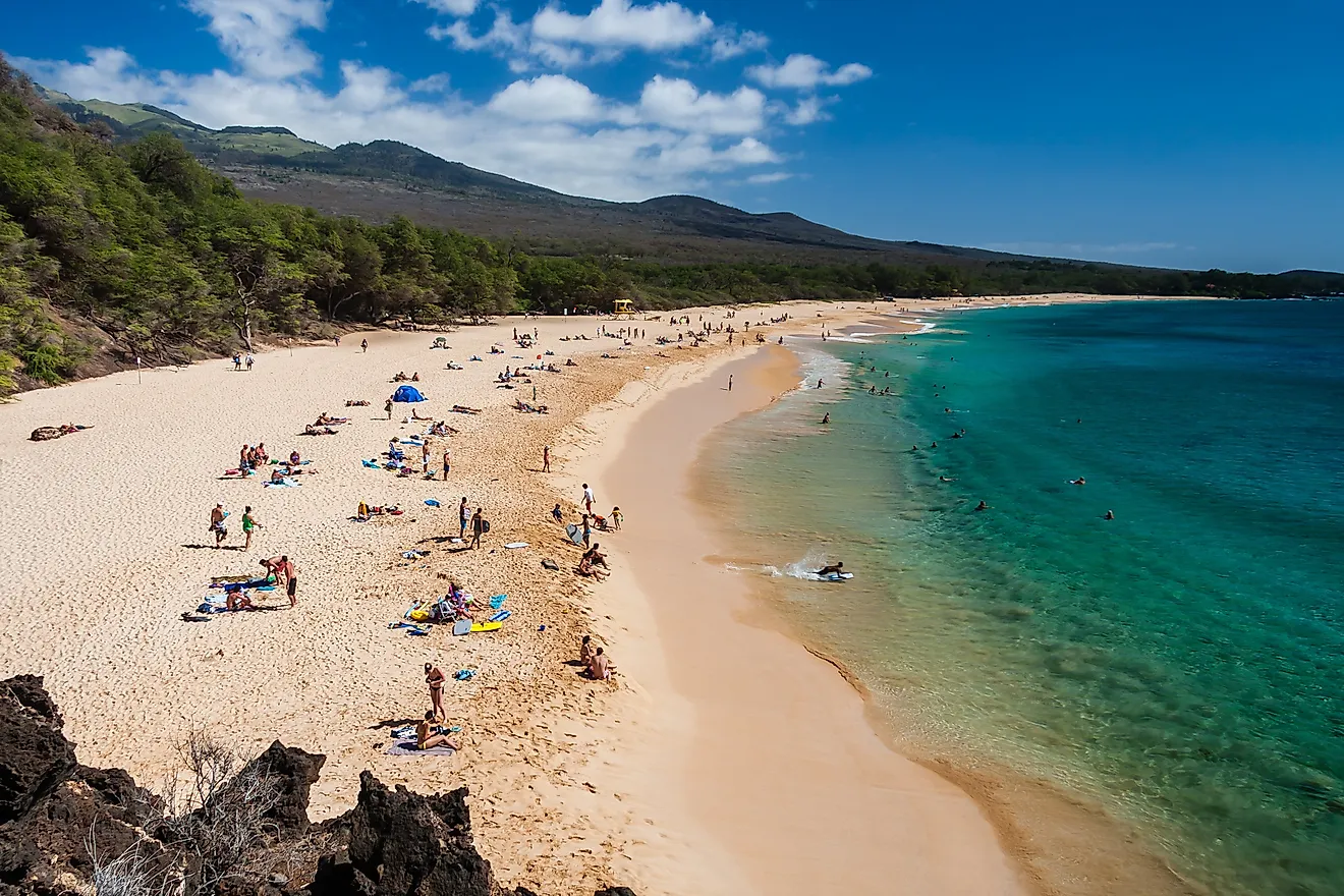 6 Most Shark-Infested Beaches In Hawaii