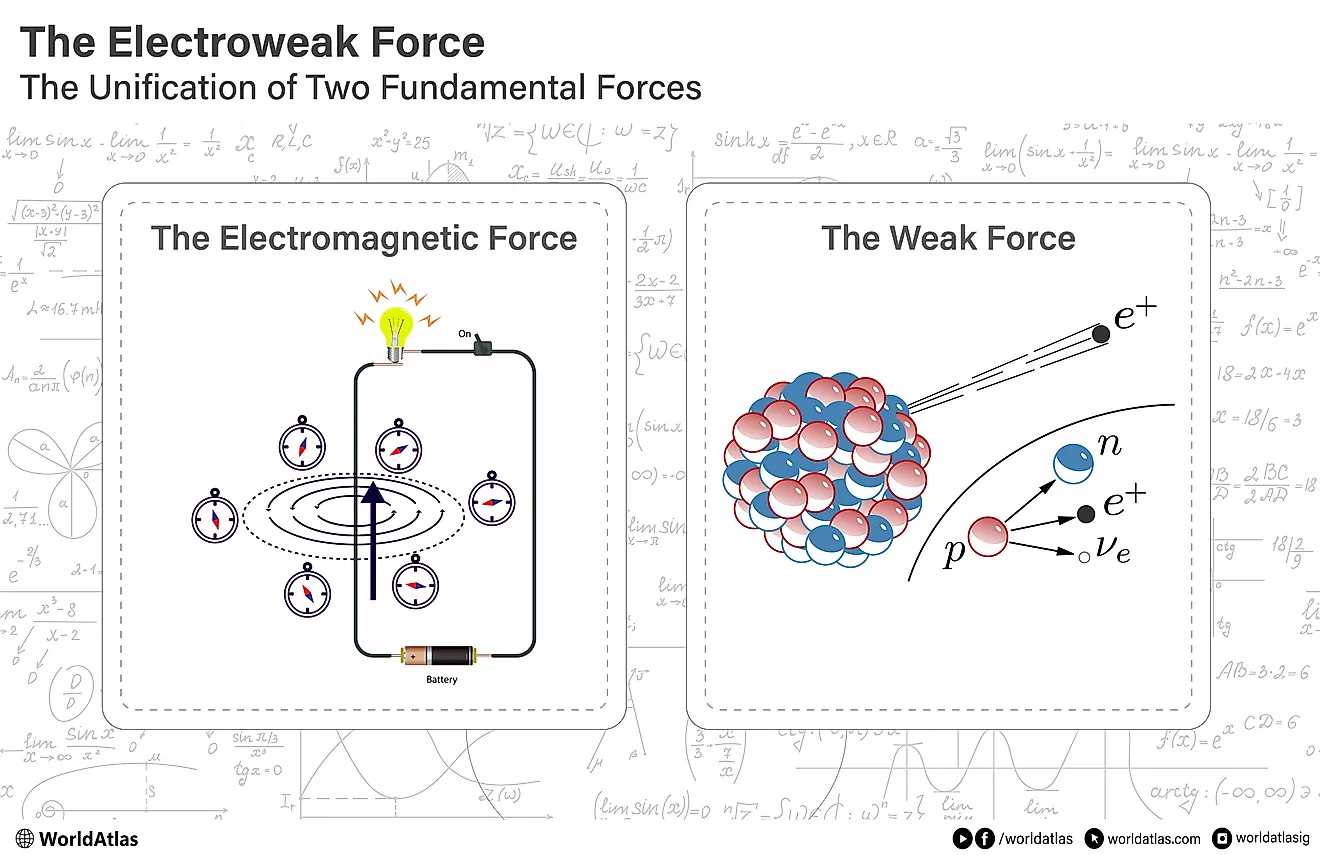 The Two Sides of the Electroweak Force - WorldAtlas