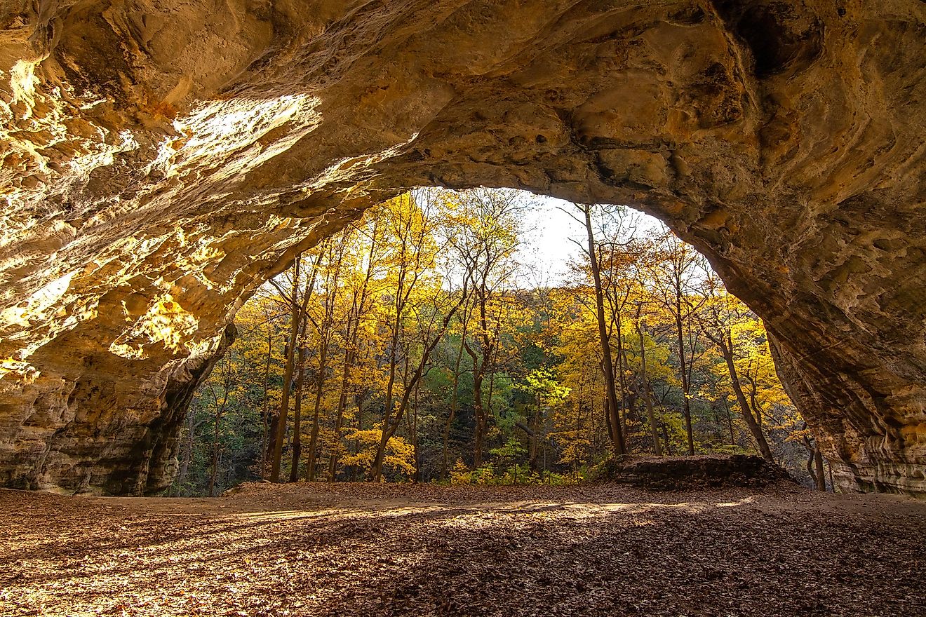 5 National & State Parks In Illinois You Have To Visit