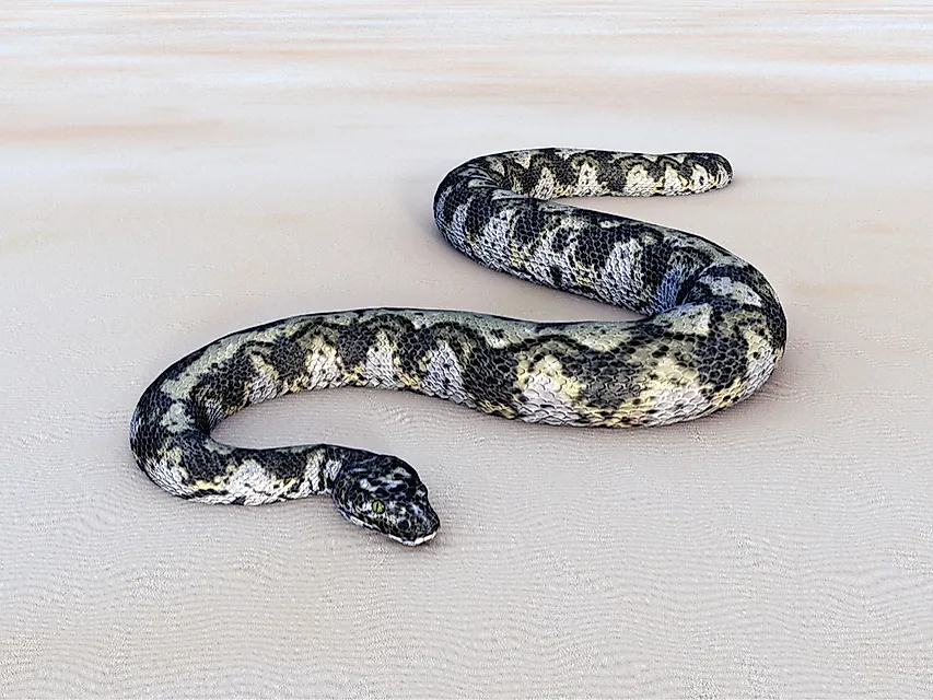 Was Gigantophis the Largest Snake That Ever Lived? - WorldAtlas