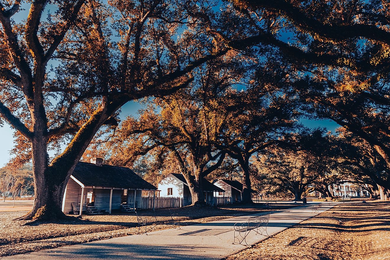 13 Top Places To Visit In Louisiana This Fall