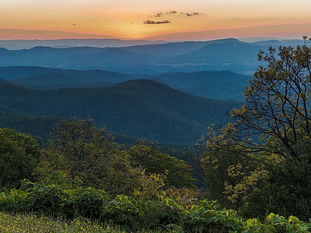 The Southern US National Forests