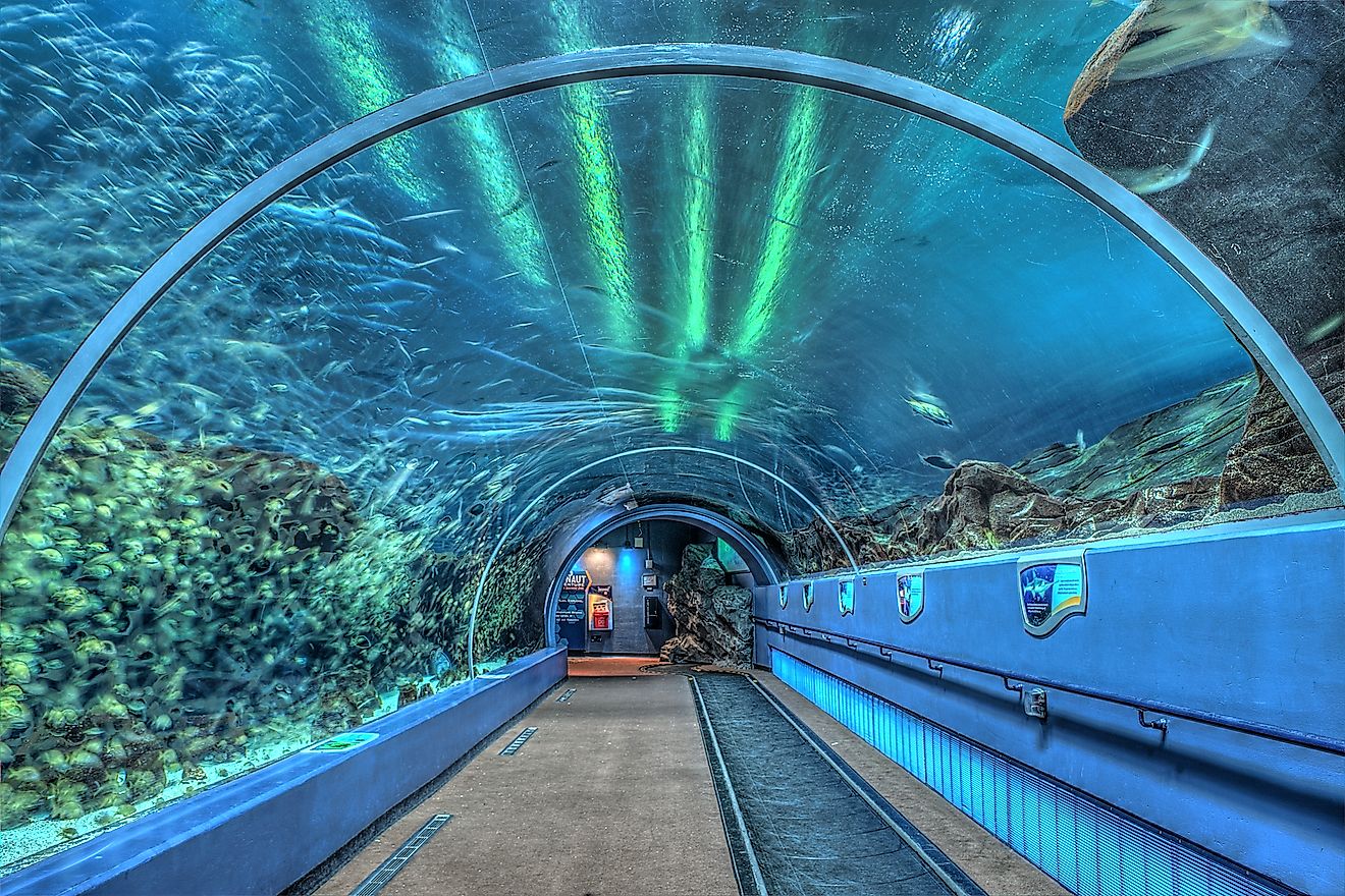 The Biggest Aquariums In The World