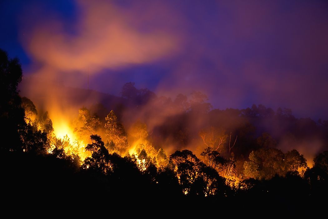 Largest Wildfires In The World WorldAtlas Largest Wildfires In The World WorldAtlas