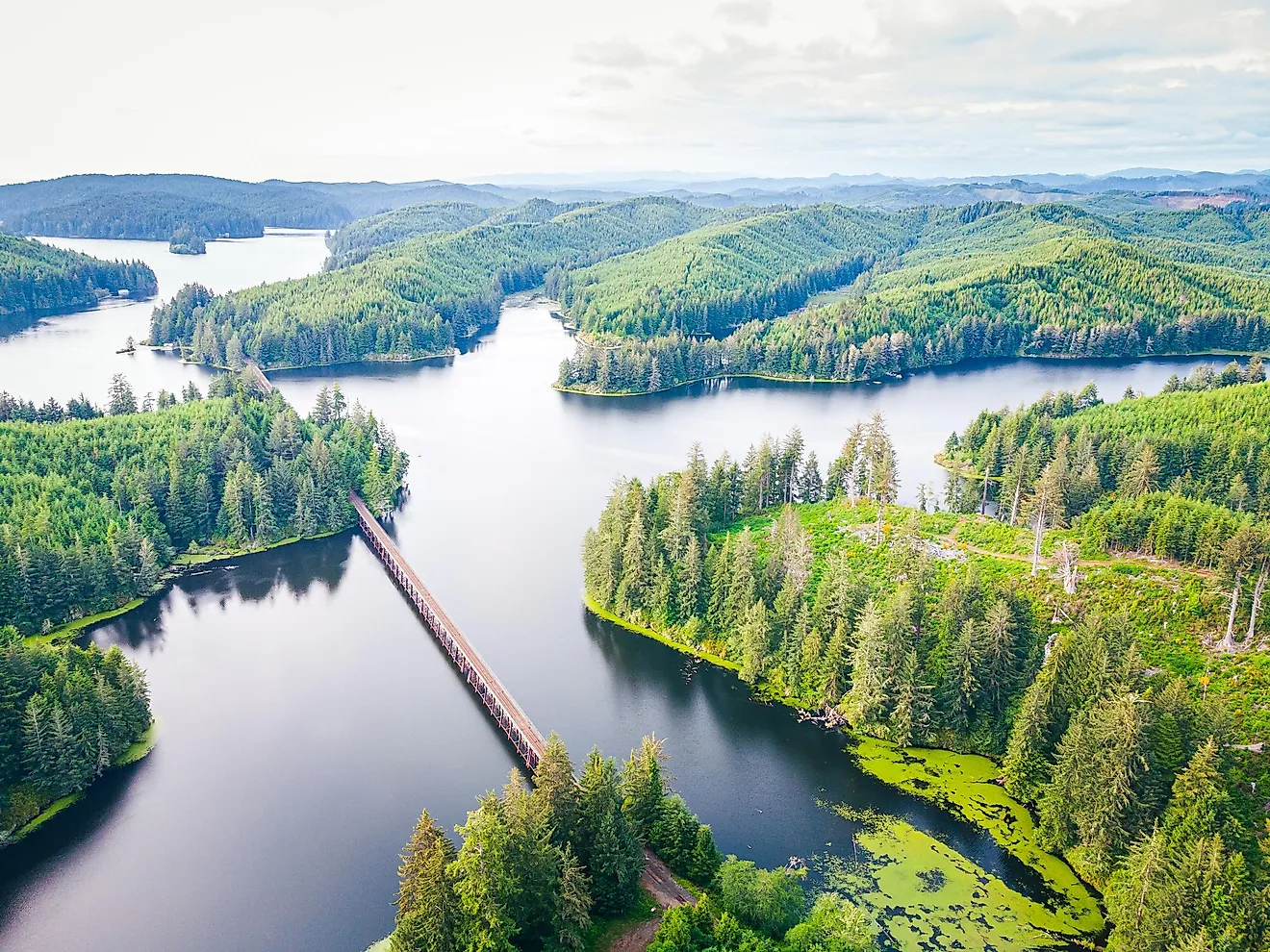 11 Most Scenic Road Trips to Take in Oregon