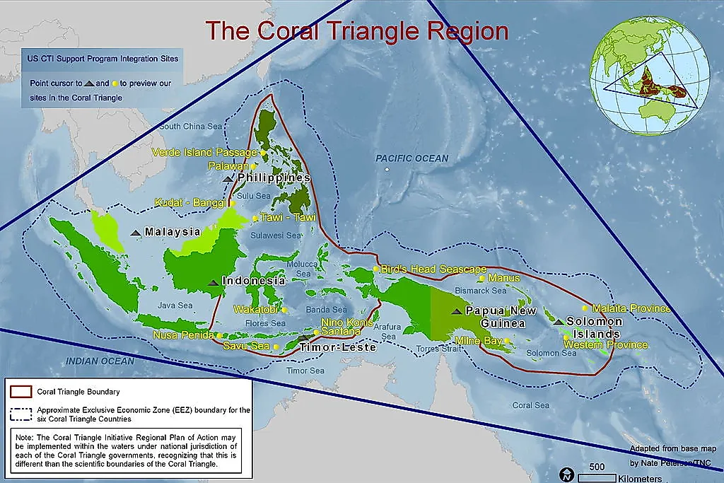 The Importance of Conserving The Coral Triangle