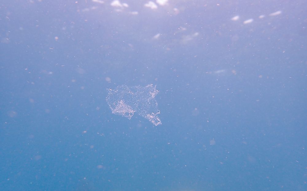 What Are Microplastics And Why Are They Bad? - WorldAtlas