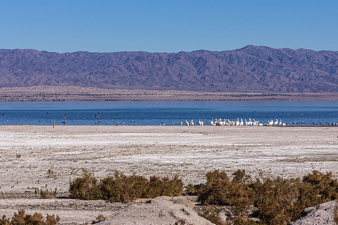 Salton Sea