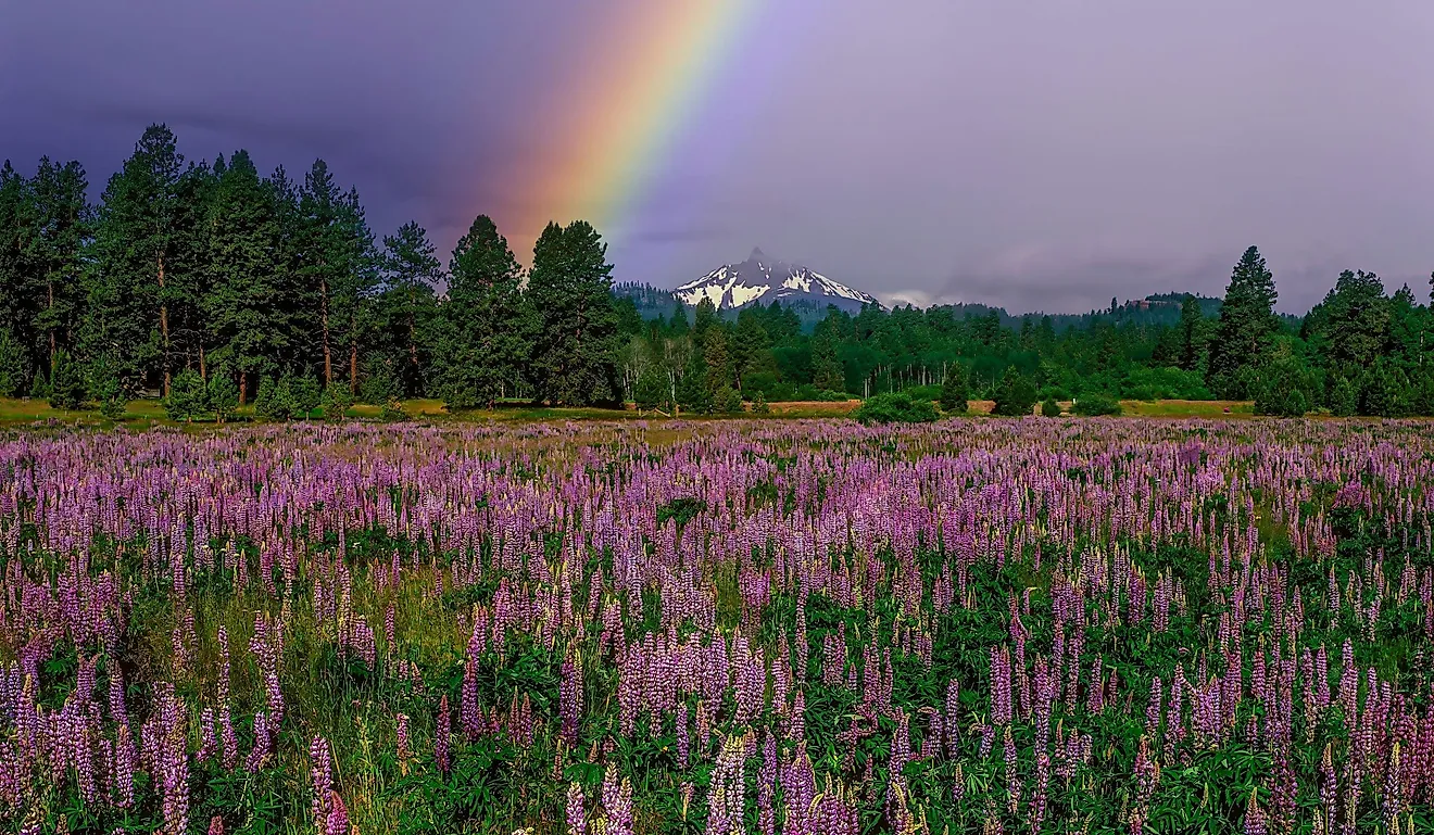 These Towns in Oregon Come Alive in Spring