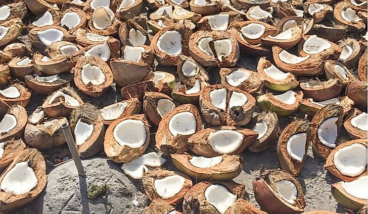 What Is Copra And How Is It Made?