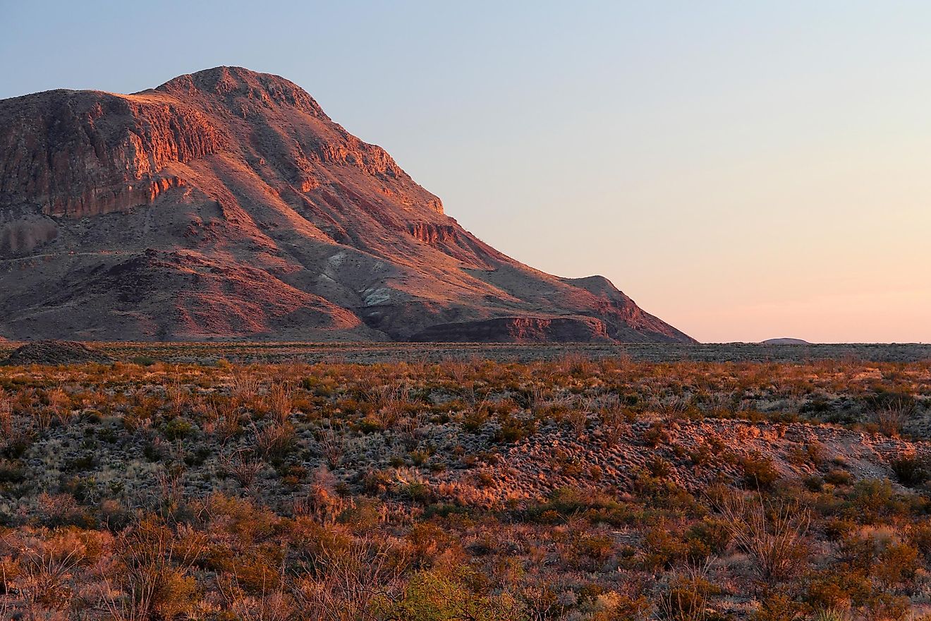 Do Humans Live In The Chihuahuan Desert WorldAtlas do-humans-live-in-the-chihuahuan-desert-worldatlas
