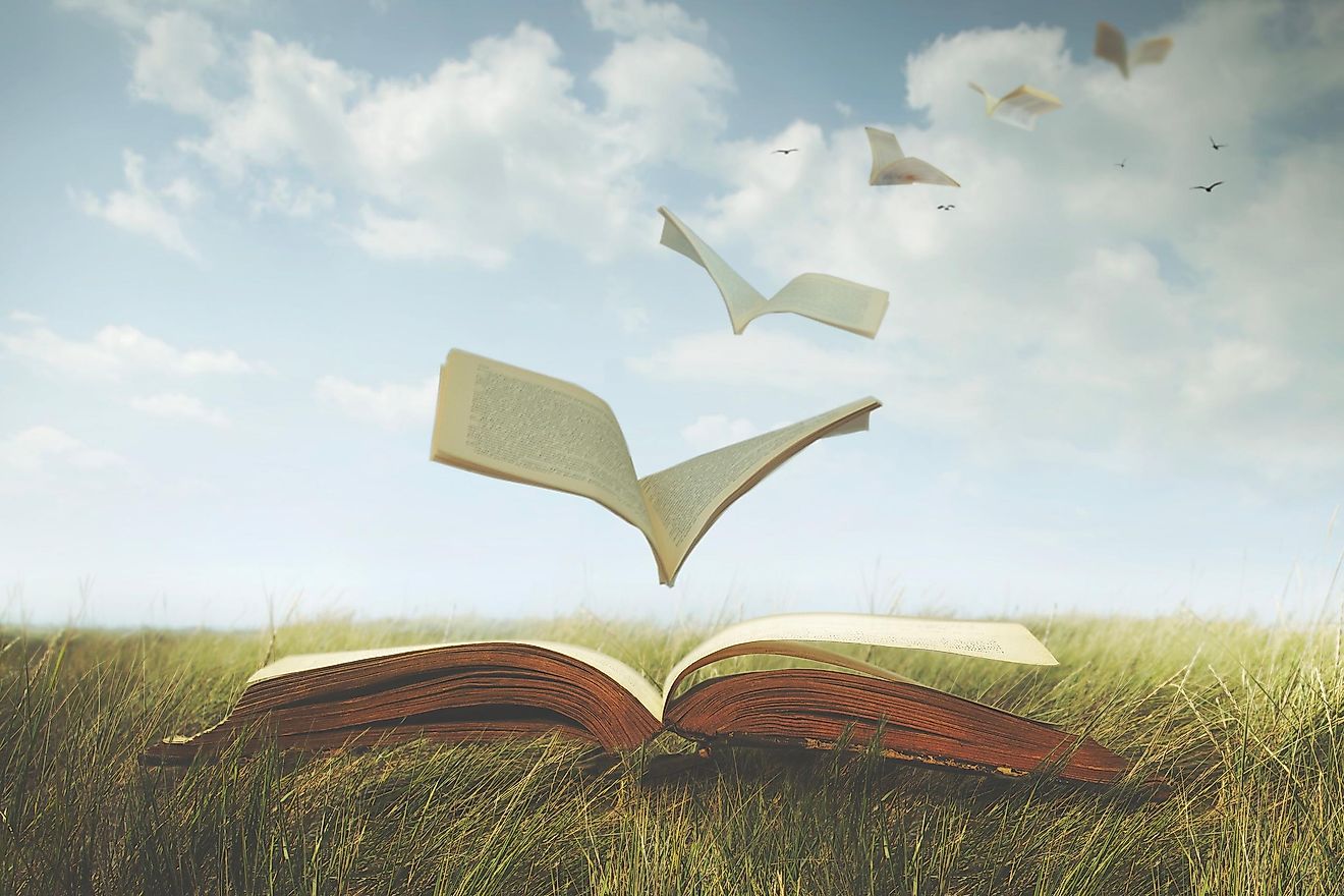 13 Examples of Philosophy