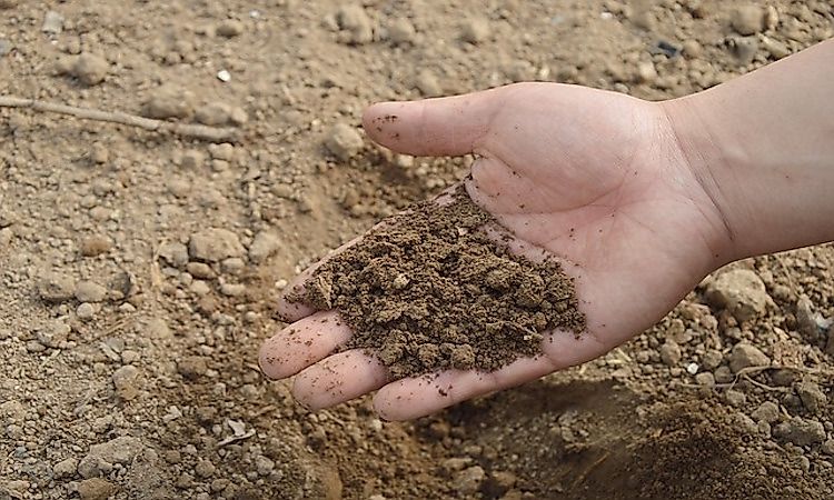 USDA Soil Taxonomy: Soil Orders And Their Major Characteristics