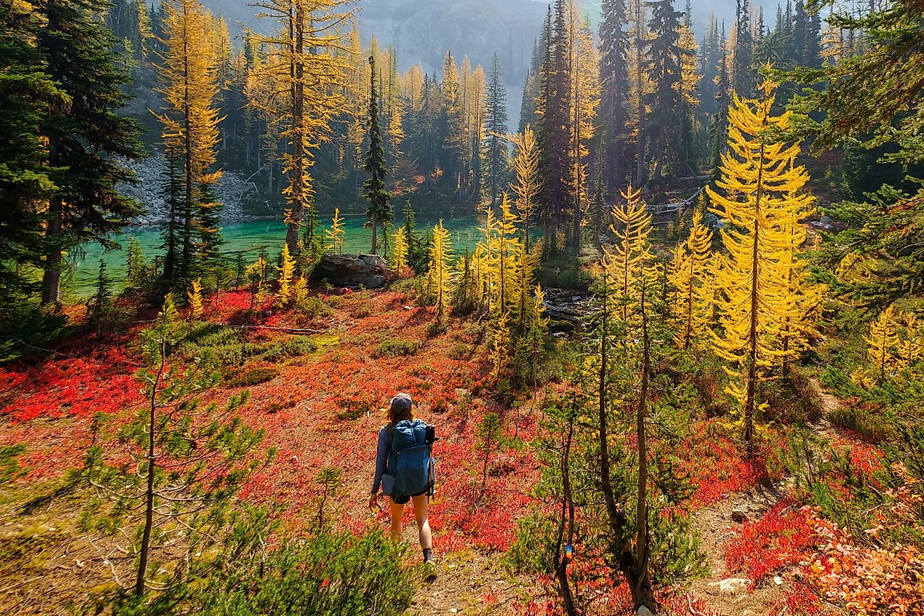 10 Unforgettable Fall Getaways From Washington