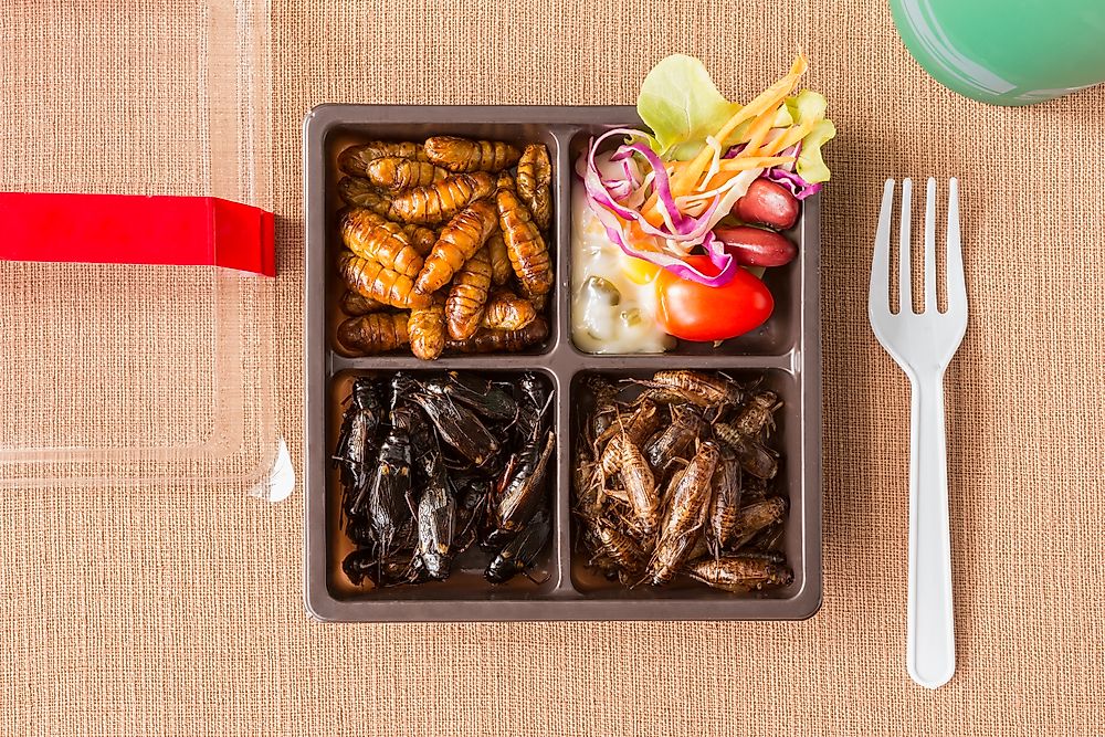 Top Regions in the Global Edible Insect Market - WorldAtlas