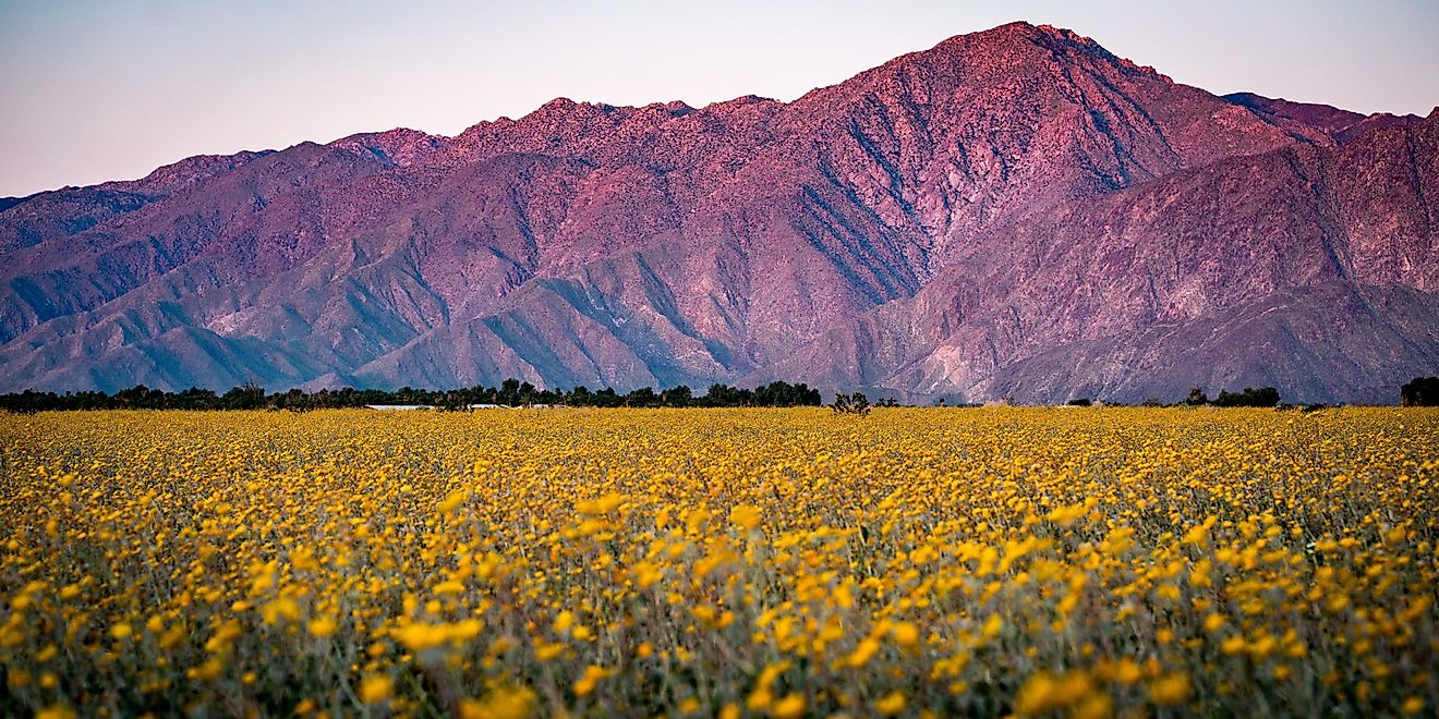 These Towns in Southern California Come Alive in Spring