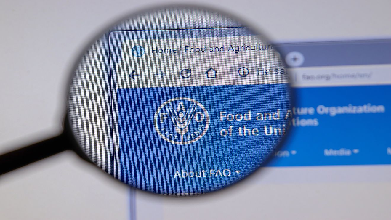 What Is The FAO?