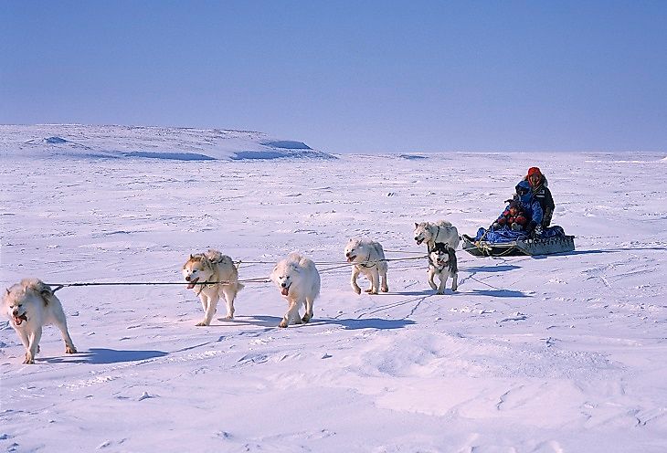 What Is The Climate And Landscape Of Nunavut Like?