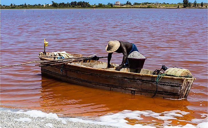 8 Interesting Facts About Senegal