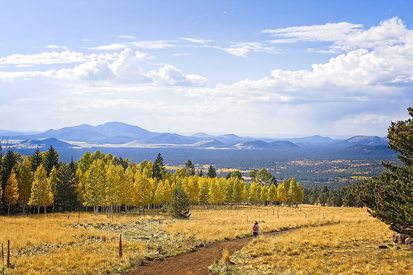 11 Unforgettable Fall Getaways From Phoenix