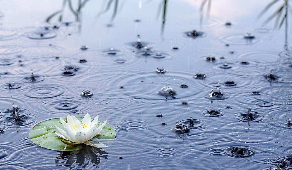 Is Precipitation The Source Of All Fresh Water On Earth?