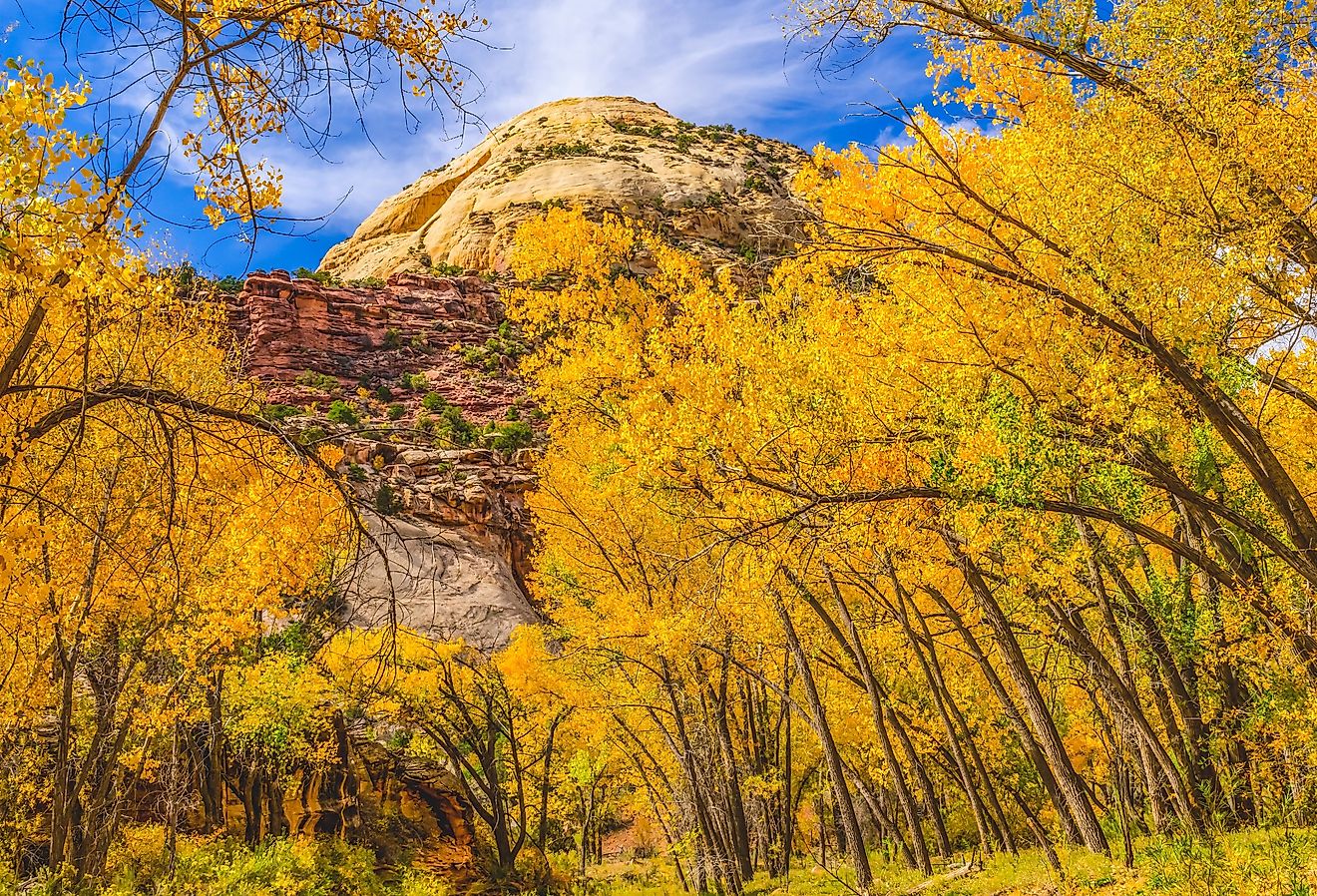 The Least-Crowded Towns In Utah To Catch Fall Foliage
