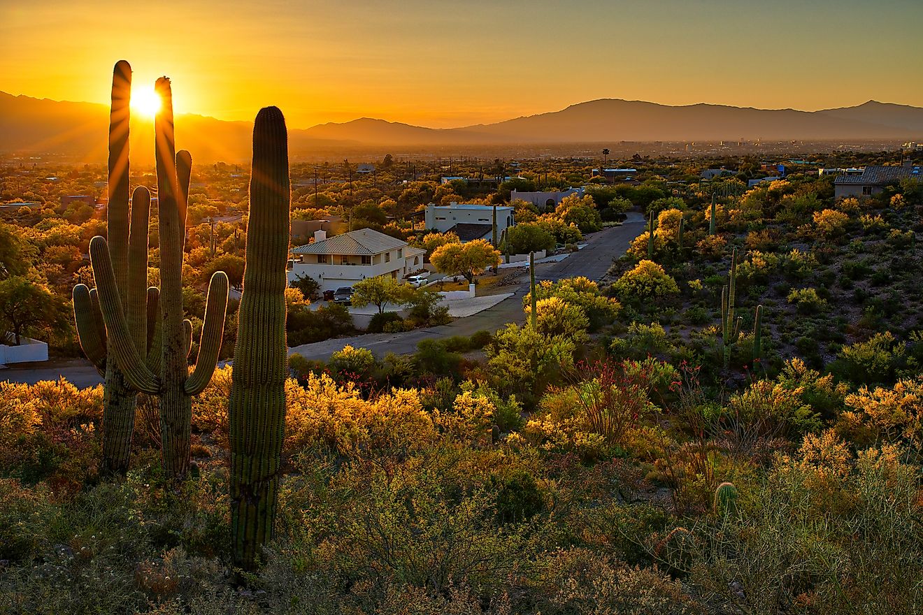 11 Unforgettable Fall Getaways From Tucson