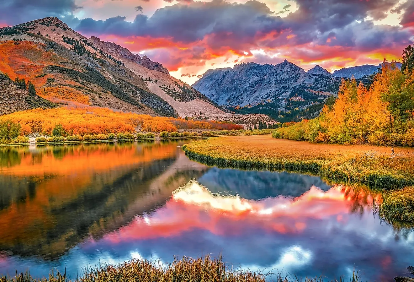 Joshua Chiedu - Journalist Profile - Intelligent Relations