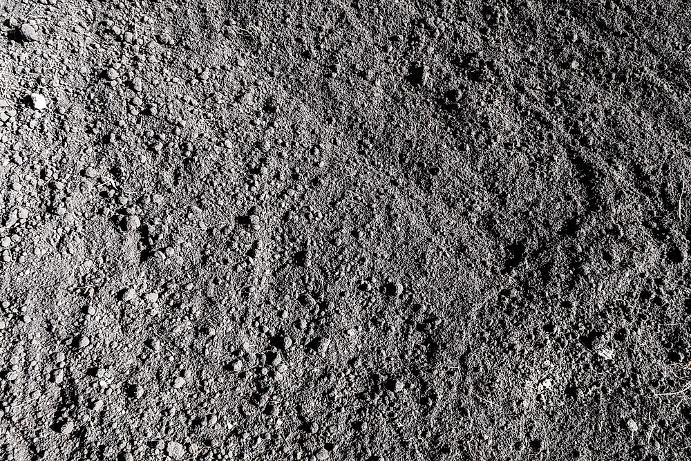 What Is The Central Black Earth Region Famous For?