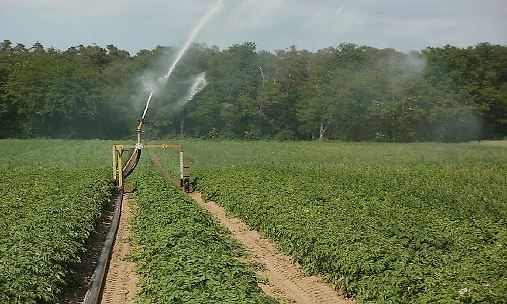 What Is The Environmental Impact Of Irrigation? - WorldAtlas