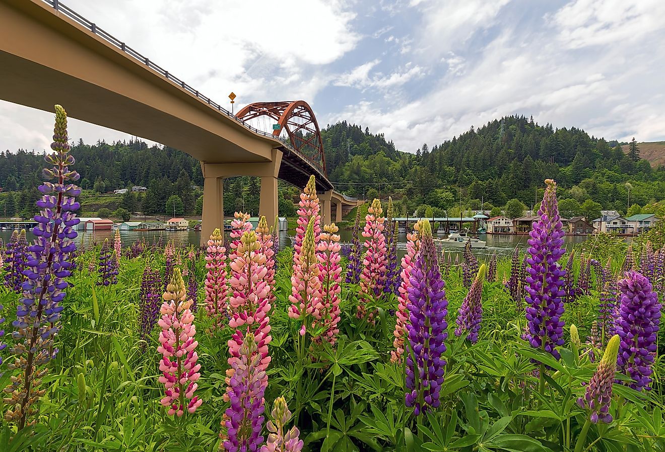 The Most Beautiful Islands in Oregon
