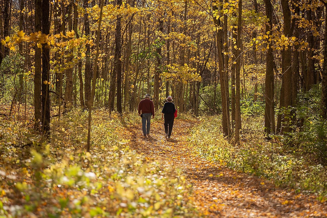 9 Best Fall Hikes In Ohio