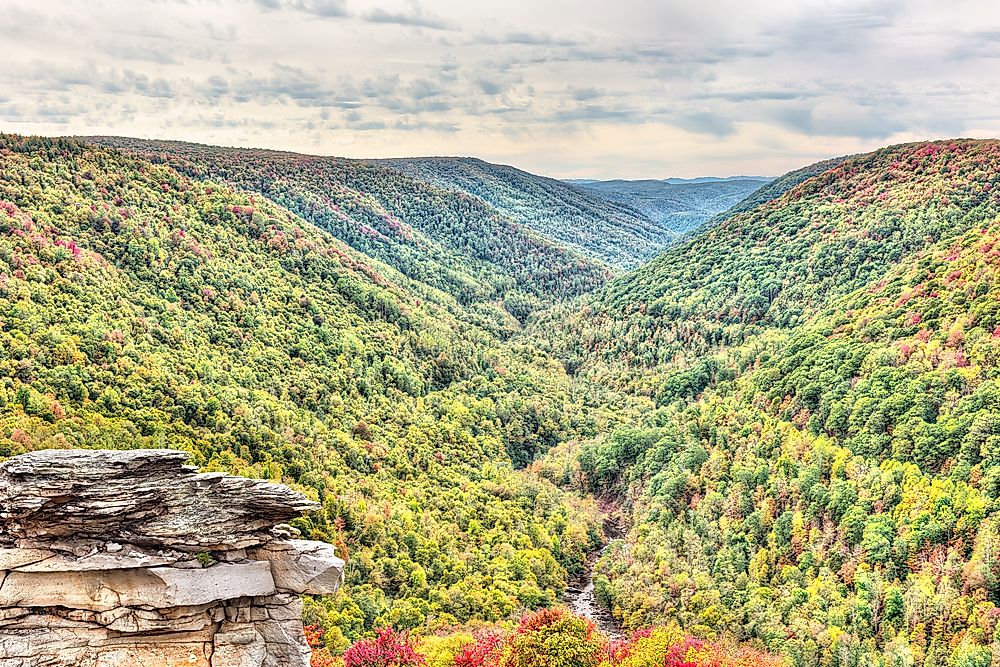 The Four Northeastern National Forests