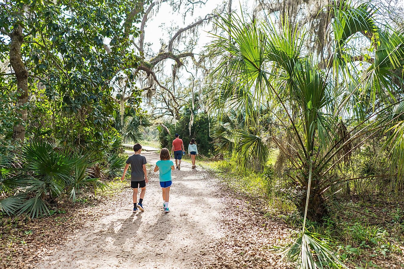 11 Best Hikes In Florida