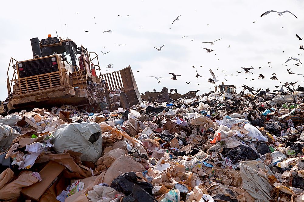 How Long Does it Take for Garbage to Decompose? - WorldAtlas How Long Does it Take for Garbage to Decompose? - WorldAtlas