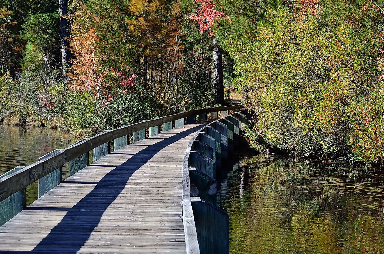 These 12 Towns In South Carolina Feel Like Home