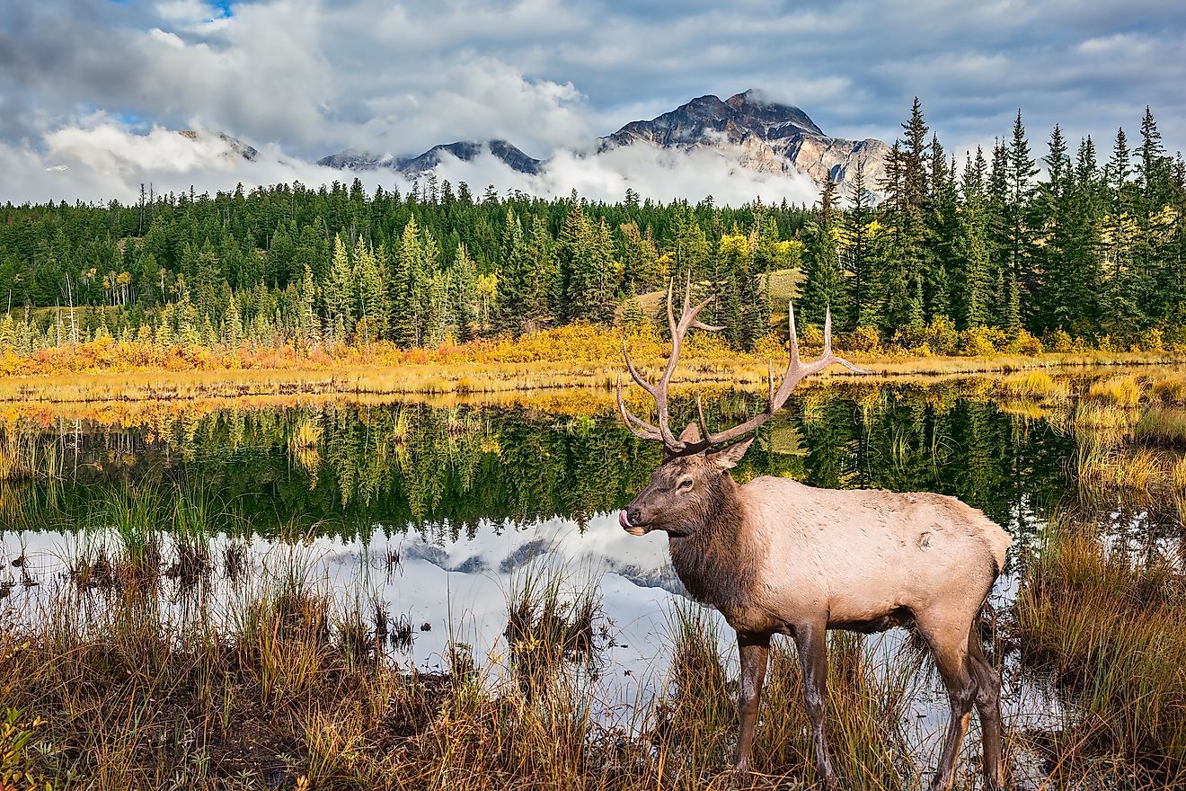 Canada's 10 Most Popular National Parks