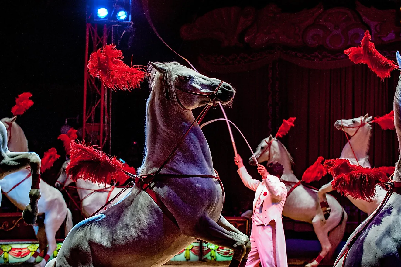 10 Famous Circus Performers of the 20th Century - WorldAtlas