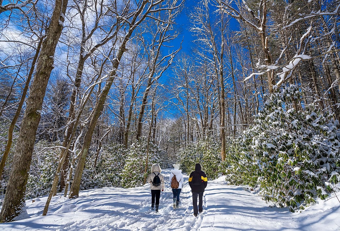 12 Best Destinations for a Winter Vacation in North Carolina