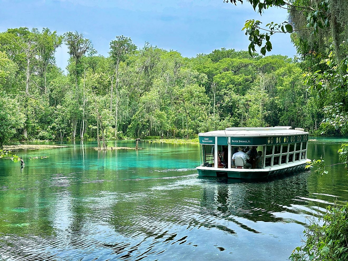 8 Best Destinations for a Winter Vacation in Florida