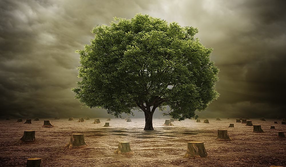 What Is Earth Overshoot Day?