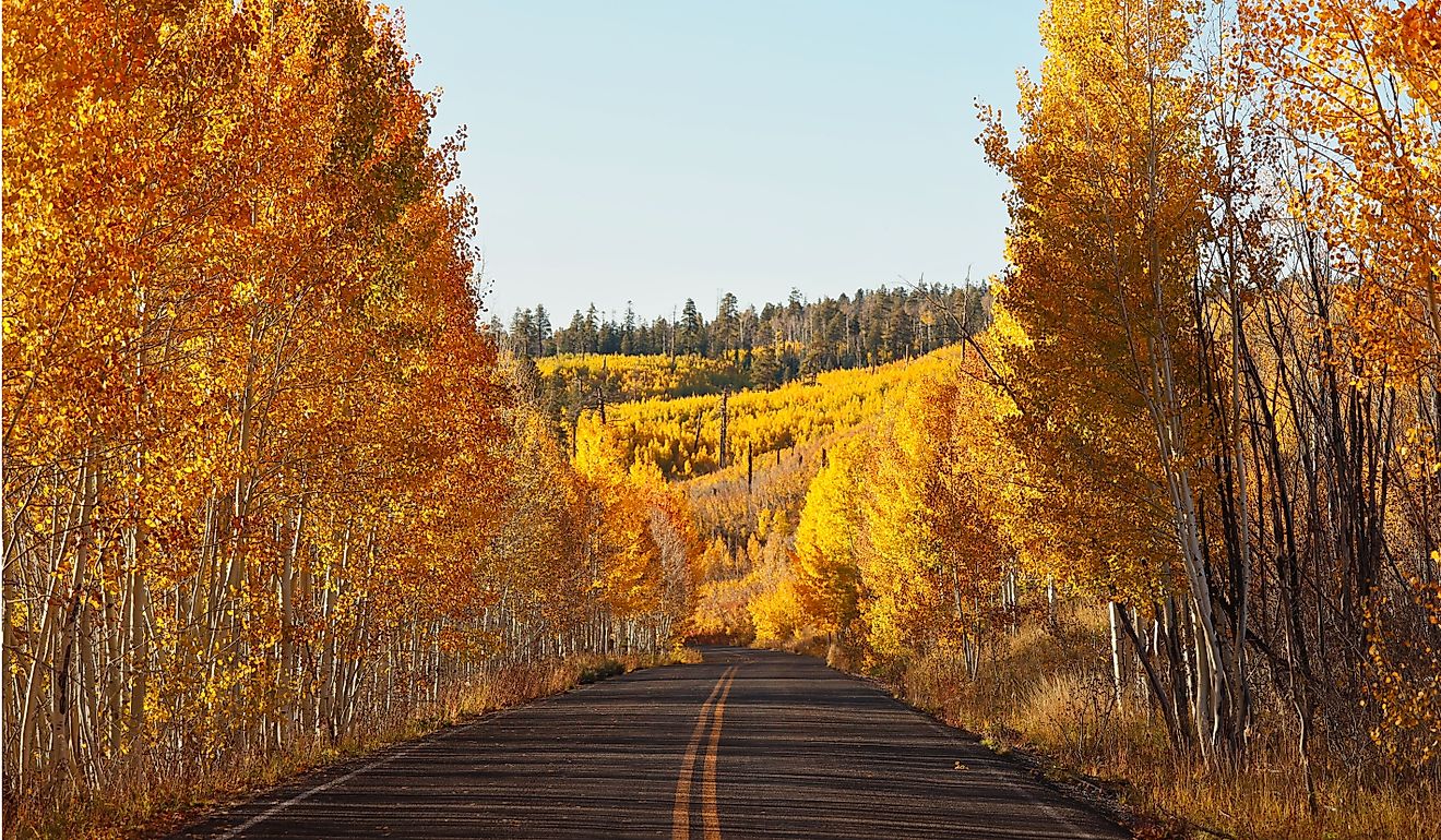 9 Top Places To Visit In Arizona This Fall