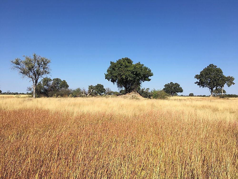 Ecological Regions Of Botswana - WorldAtlas